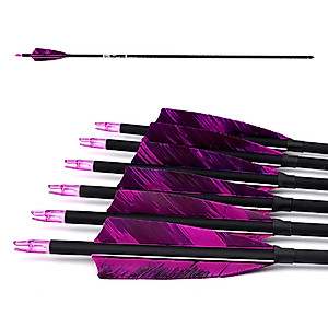 PG1ARCHERY 31-Inch Carbon Arrows Target Practice Hunting Arrow with 4" Shield Fletching spine 500 Arrows for Recurve Bow LongBow Compound Bow Pruple (Pack of 6)