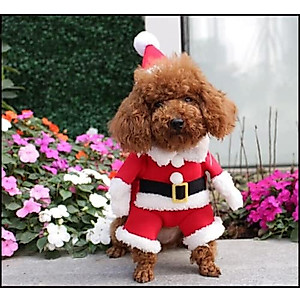 Betreasure Pet Dog Christmas Clothes Santa Claus Dog Costume Winter Puppy Pet Cat Coat Jacket Dog Suit with Cap Warm Clothing for Dogs Cats (X-Small)