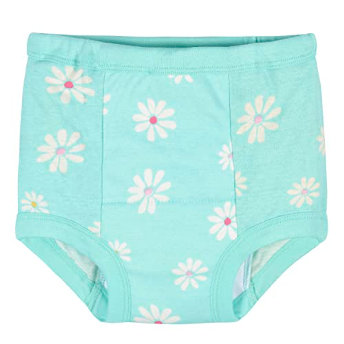 Gerber Baby Girls Infant Toddler 4 Pack Potty Training Pants Underwear Rainbow Turquoise and Pink 2T