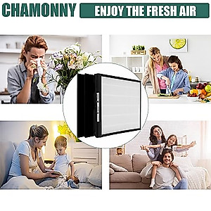 CHAMONNY IAF-H-100D Idylis D Replacement Filter Size D, Compatible with Idylis AC-2118, AC-2123, IAP-10-280 Air Purifier Devices, 2 H13 True HEPA Filters + 4 Activated Carbon Pre-filters