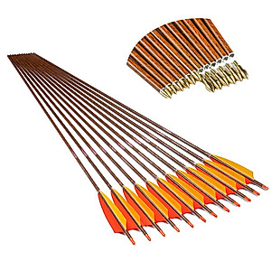Linkboy Archery Carbon Arrows Hunting Target Arrows Wood Skin with Removable Tip for Compound Recurve Long Bows, Spine 300 400 450 500 600, Pack of 6/12PCS (SP300 32" 12PCS)
