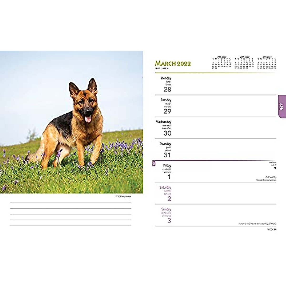 German Shepherds 2022 6 x 7.75 Inch Spiral-Bound Wire-O Weekly Engagement Planner Calendar | New Full-Color Image Every Week | Animals Dog Breeds Pets