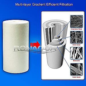 Big Sediment Replacement Water Filters 1 Micron 4.5"x 10" Cartridges by Ronaqua WELL-MATCHED with RFC-BBSA, W15-PR, WFHD13001B, GXWH35F, GXWH30C, HF45-10BLBK10PR and AP817(2 Pack, 10")