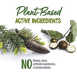 Boiron Acidil for Relief of Acid Reflux, Heartburn, Indigestion, and Upset Stomach - 60 Count