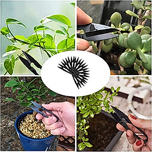 Yardwe 12pcs Bonsai Trimmer Tools Trimming Shears Professional Bonsai Pruning Tool Garden Bonsai Shears Leaves Scissors Pruning Scissor Trimmer Tool Small High-Carbon Steel Pruning Shears