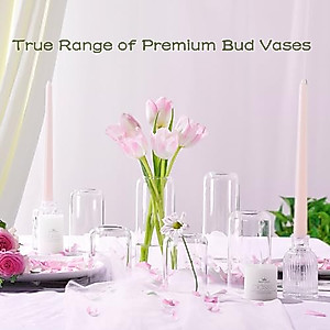 ZENS Bud Vases Set of 3, Modern Small Glass Vases for Flower Clear Bud Vases for Wedding Centerpiece, Blown Thicker Glass Small Vase for Flowers, Wedding Party Events Home Bathroom Decor