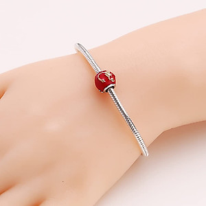 Birthday Zodiac Sign Charms Original 925 Sterling Silver Enamel Charms with Clear Cz for Bracelet (Red Scorpio)