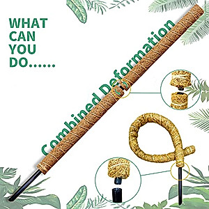 ICoirstream Coir Moss Pole Plant - 2 Pcs 31.5 Inch Coir Moss Pole Bendable and Stackable to 55 Inches - Use Alone or Together. Support Poles for Indoor Climbing Plants
