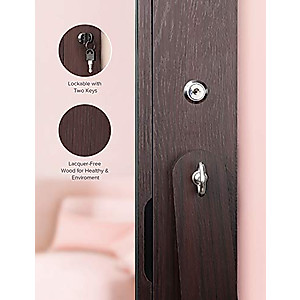 Nicetree 2022 Upgraded Jewelry Armoire with Mirror, Wall/Door Mounted Jewelry Cabinet, Freestanding Mirror with Jewelry Storage