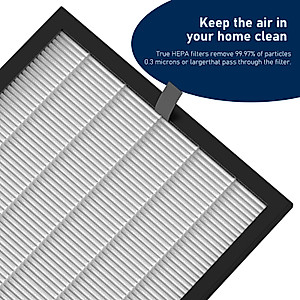 2 Pack G3 True HEPA Replacement Filter FXAP2W Compatible with AMEIFU G3 Sferf-30 (FXAP2W) Air Cleaner Purifier, VEWIOR A3 and Tailulu HQZZ-260 Air Cleaner Purifier,3 in 1 Filtration HEPA Filter