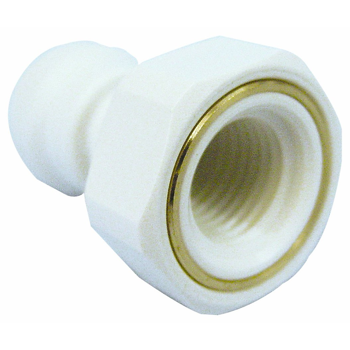 John Guest Speedfit PP450821W 1/4OD by 1/8NPTF Female Adapter, 10-Pack