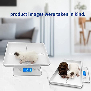 MINDPET-MED Digital Pet Scale for Small Animal, Whelping Scale,Mini Precision Gram Weight Balance Scale, High Precision 1g, Suitable for Newborn Pets