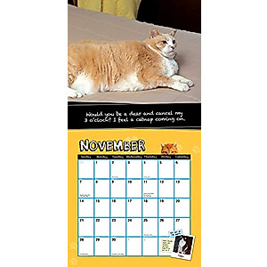 2021 Fat Cats Wall Calendar: A Monthly Calendar Full of Funny Felines and Hilarious Captions (The Perfect Funny Gift for Christmas and Cat Lovers)