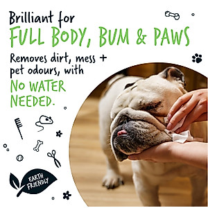 BUGALUGS Dog Wipes, 100% Plastic Free Biodegradable pet Wipes for Full Body, Eye Wipes, Ear Wipes, Bum & Paws. 110 Sensitive Dog Grooming Wipes for Dogs, Puppy & cat Grooming (Fragrance Free)