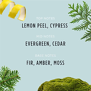 Santa's Naturals Fraser Fir Christmas Candles (9oz, 2 Pack) | Authentic Pine Scent | Christmas Gifts | Each Holiday Candle Burns 30+ Hours | Made in USA | Soy and Beeswax Blend with Essential Oils