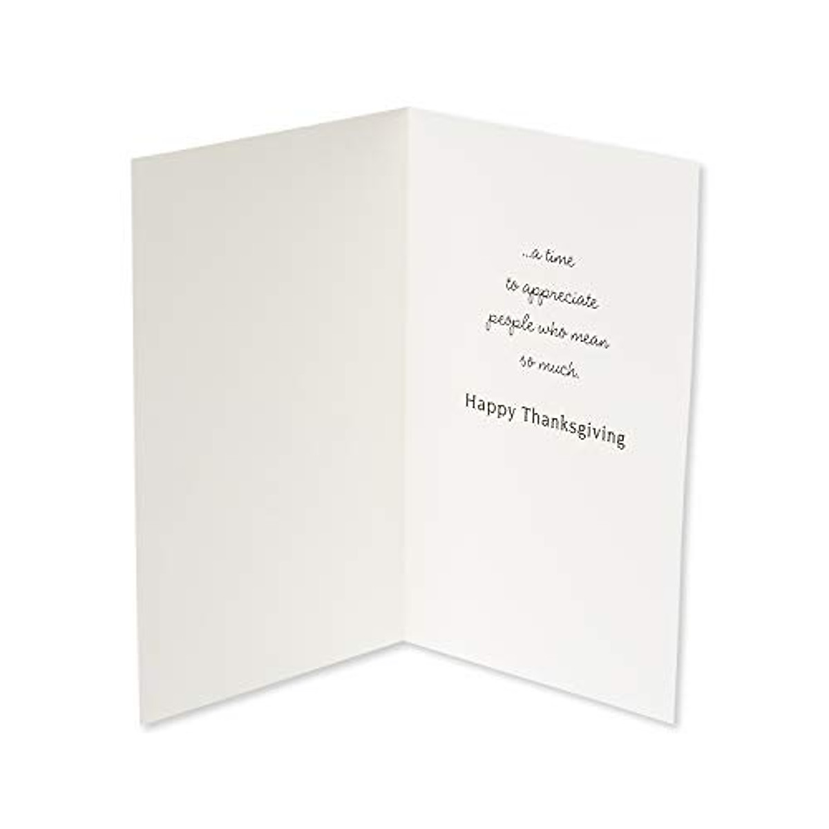 American Greetings Thanksgiving Cards, Mean So Much (6-Count)