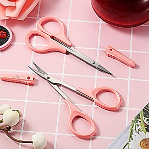 2 Pack Curved Craft Scissors Small Scissors Beauty Eyebrow Scissors Stainless Steel Trimming Scissors for Eyebrow Eyelash Extensions, Facial Nose Hair (4 Inch)
