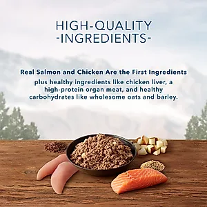 Blue Buffalo Wilderness High Protein Natural Adult Wet Dog Food Plus Wholesome Grains, Chicken & Salmon Grill 12.5-oz Cans (Pack of 12)