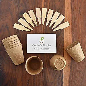 Daniel's Plants 3” Peat Pots | Plant Pots for Seedlings & Seed Starter Nursery Pots | Organic Biodegradable Plant Pots | Eco Friendly | Bonus 10 Wooden Plant Garden Labels | Bulk 60 Pack | 3 Inch