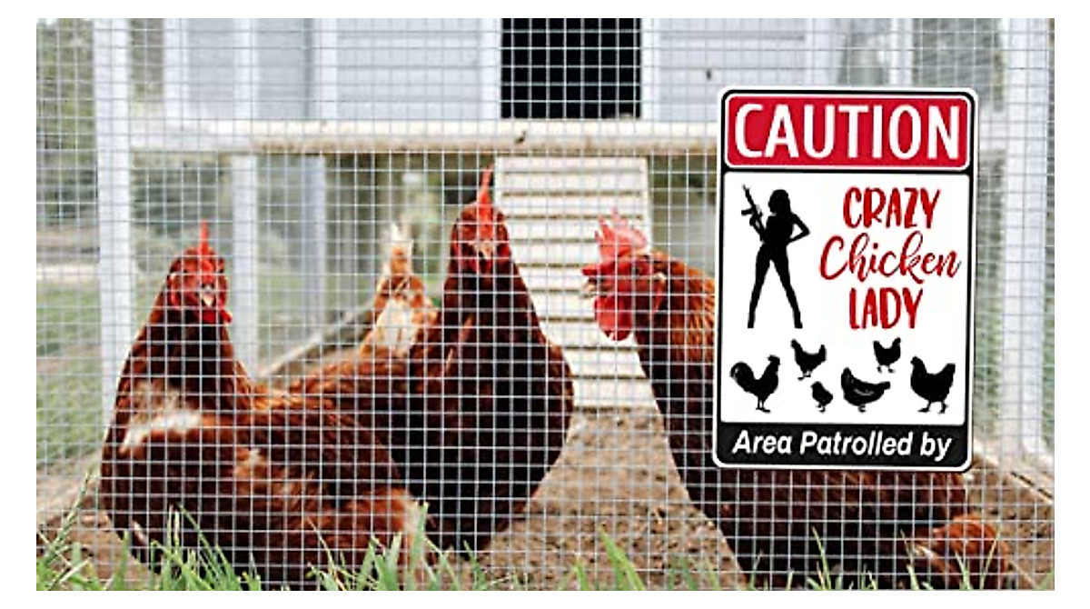 Bestylez Area Patrolled by Chicken Lady - Crazy Chicken Lovers Gag ...