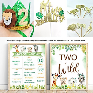 YSHMFEUX Two Wild Birthday Decorations Party Supplies, Jungle Theme 2nd Birthday Party Supplies, Jungle Safari Animal 2nd Birthday Decorations, Second Birthday Decorations for 2 Years Old Birthday
