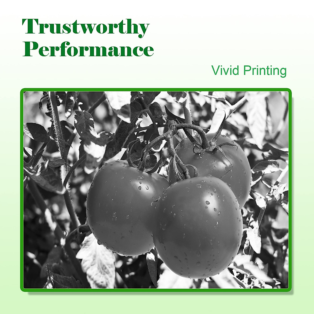 WT-220CL Waste Toner Box Compatible Brother WT 220CL Works with HL-3140CW, HL-3170CDW, HL-3180CDW, MFC-9130CW, MFC-9330CDW, MFC-9340CDW (1 Pack)