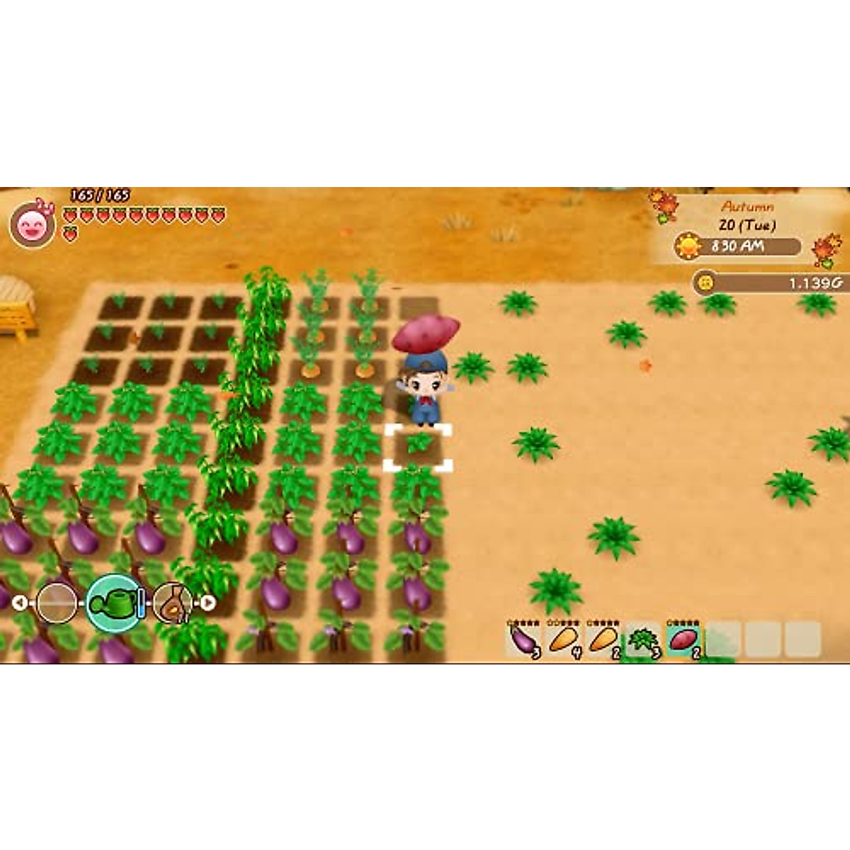Story of Seasons: Friends of Mineral Town - Xbox One