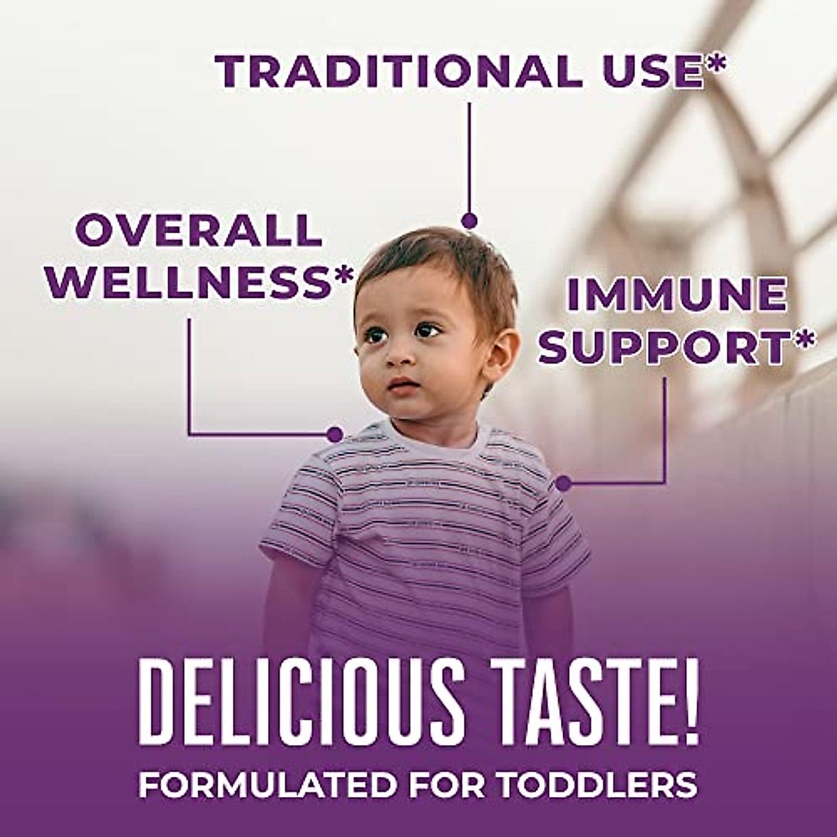 Toddler Multivitamin Gummies & USDA Organic Elderberry Liquid Drops for Toddlers Bundle by MaryRuth's | Vitamin C, D3, Zinc | Overall Health | Vegan | Non-GMO | Gluten Free
