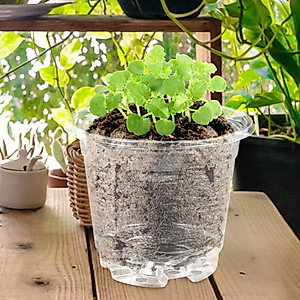 Yardwe Plastic Flower Pots 1 Set Transparent Pot Plant Pots Indoor Plastic Plant Pots Garden Pots Outdoor Planter Pots for Plants Tiestos para Exterior Clear Gallon Pot Pp Breathable