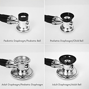 BV Medical Adult Sprague Rappaport-Type Stethoscope