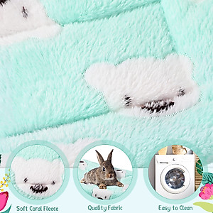 Jetec 2 Pieces Guinea Pig Bed Rabbit Bed Small Animal Hamster Warm Mats Winter Warm for Bunny Hamster Squirrel Hedgehog Chinchilla Small Animal Accessories(Green, Pink,Bear Pattern)
