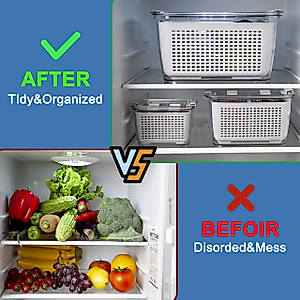 food containers storage