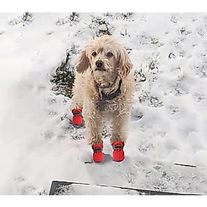 YAODHAOD Dog Shoes for Small Dogs, Anti-Slip Dogs Boots & Paw Protector for Winter Snowy Day, Summer Hot Pavement Dog Booties with Reflective Straps, Cat Dog Shoe for Indoor Hardfloors (Red,7)