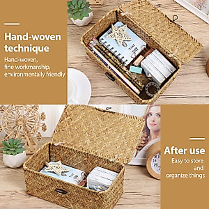 Vosarea Rattan Storage Basket,Straw Seaweed Basket, Hand-Woven Storage Basket Multipurpose Container with Lid for Desktop Home Decor (9inch)