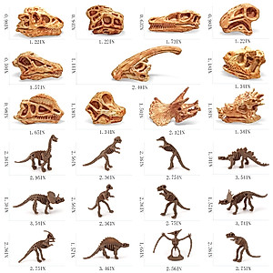 GAICOM Dinosaur Head Skeleton Fossil Assorted Bones Playsets 23 PCS Action Figures Model Toys for Kids
