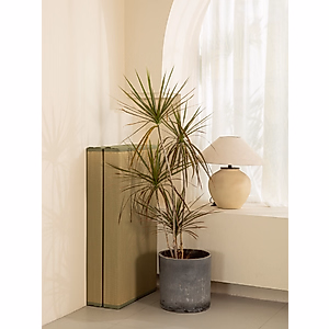 MustMat Thick Tatami Mat Twin XL Floor Mattress Japanese Tatami Bed with Storage Bag 39 x 80 x 2 in (Green)