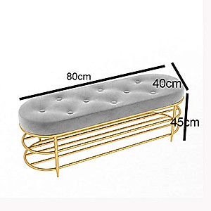 TAZSJG Shoe Stool with 2 Layers Shoe Rack Shelf Sofa Cushion Entrance Door Shoe Cabinet Shoe Stool Storage Stool (Color : A)