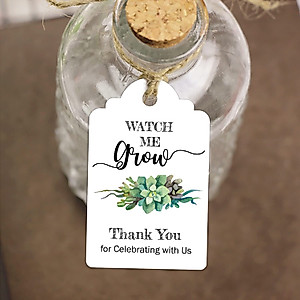 Watch Me Grow Tags for Baby Shower Succulents, Baby Shower Thank You Tags, Baby Shower Favor Tags, 1.7 x 2.8 Inch, 50 Pack with Golden Ribbon.
