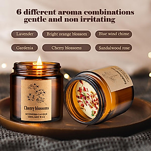 12 Pack Scented Candles for Home Aromatherapy Candle Gift Set for Women Soy Wax Jar Candles Bundle Gift for Christmas Holiday Birthday Mother's Thanksgiving Day Present