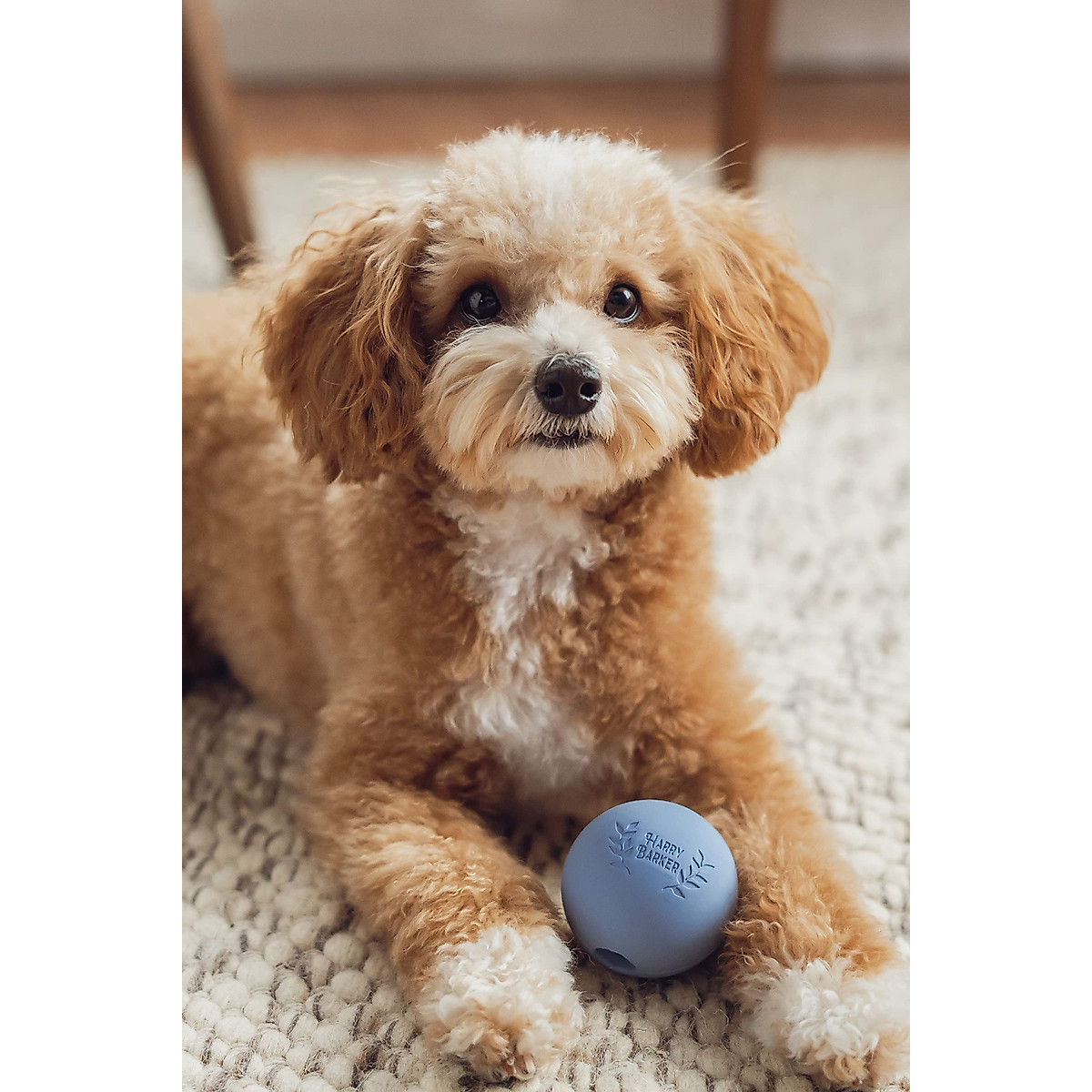 Harry Barker Rubber Balls and Rubber Chew Stick, Rubber Bone for Dogs - 2.5" Rubber Balls - 6 Pack