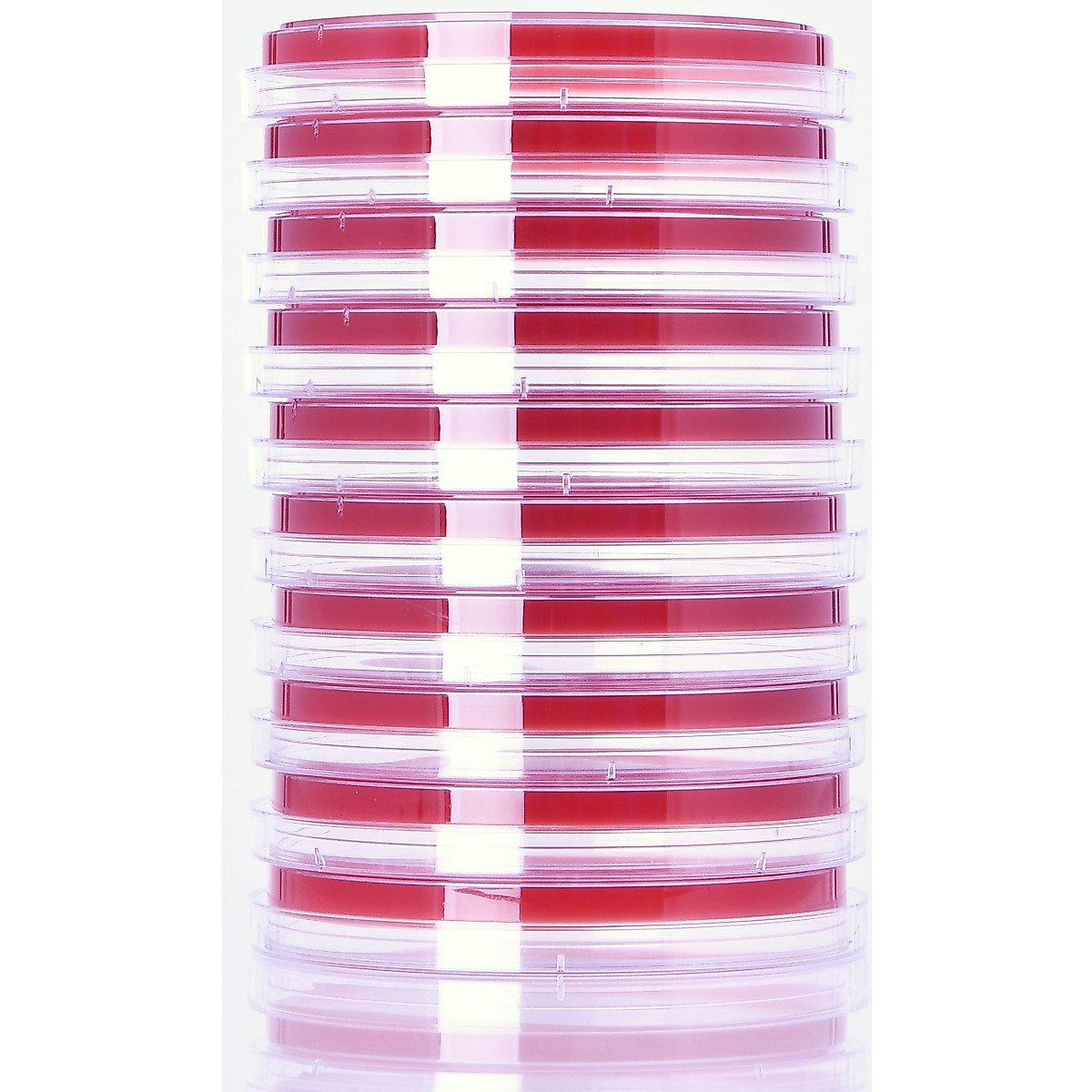 Blood Agar Plate, 5% Sheep Blood in Tryptic Soy Agar (TSA) Base, 15x100mm Plate, Order by The Package of 100, by Hardy Diagnostics