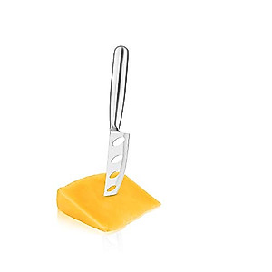 Sliver Perforated Cheese Knife by True