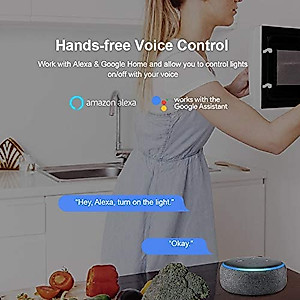 SONOFF S31 Lite 15A WiFi Smart Plug ETL Certified, Smart Outlet Socket, Works with Alexa & Google Home Assistant, IFTTT Supporting, No Hub Required, 2.4 Ghz WiFi Only 1-Pack