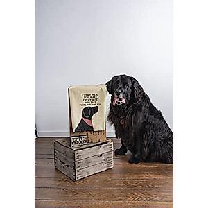 Primitives by Kathy Rustic Dish Towel, 28" x 28", I'll Be Watching You, Cotton