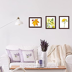 Frametory, 8.5x11 Picture Frame with Glass, Tabletop & Wall Horizontal or Vertical Display, 8 1/2 x 11 Photo Frame for Diploma, Documents (Brown, 1-Pack)