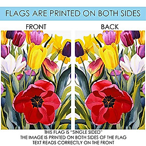 Toland Home Garden 109601 Tulip Spring Garden Flag, 28" x40", Double Sided for Outdoor Summer House Yard Decoration