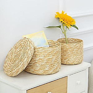 Cabilock 1PC Mini Straw Woven Storage bin Storage Basket Wheat- Straw Basket Hand Woven Storage