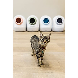 Smarty Pear Leo's Loo Too No Mess Automatic Self-Cleaning Cat Litter Box Includes Charcoal Filter, Built-in Scale, Smart Home App with Voice Control