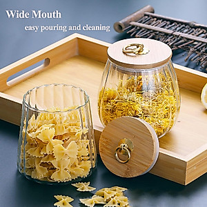 Viovian Glass Storage Coffee Container 650ml(22 FL OZ) Glass Coffee Nuts Canister Glass Jar with Lid Petal Decorative Glass jar with Bamboo Lid for Sugar Coffee Beans Tea Candy Food(Taper)