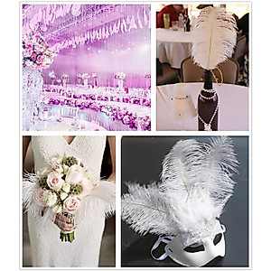 AWAYTR 10-12 inch (25-30cm) Natural Ostrich Feathers for Wedding Centerpieces Home Decoration,Flower Arrangement,DIY Christmas Decorations (10pcs,White)